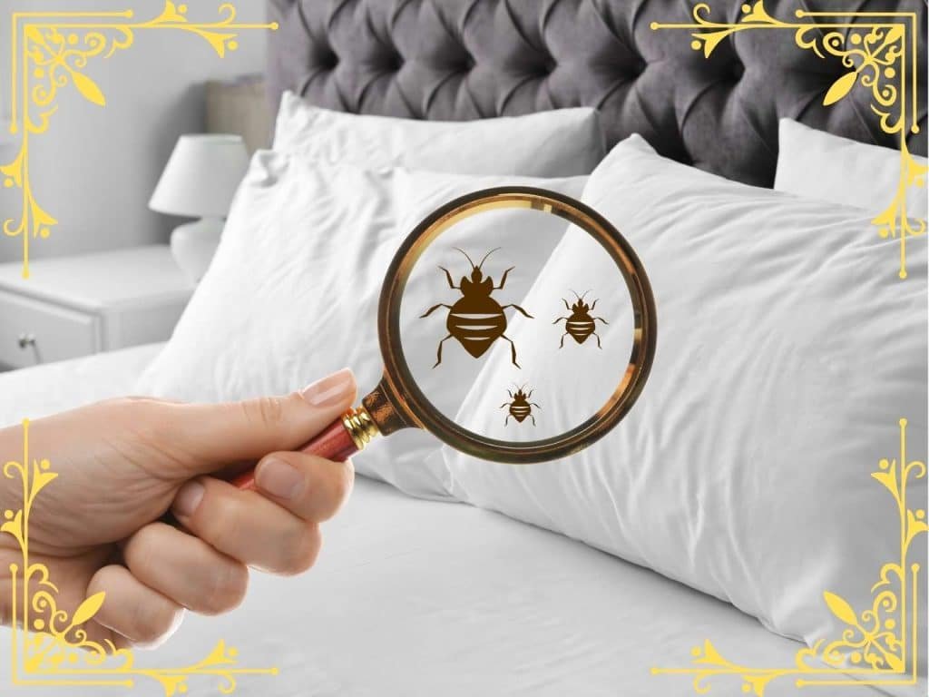 9 Meanings of Grey and White Mixed Feather (Spiritual & Biblical) - What Spiritual