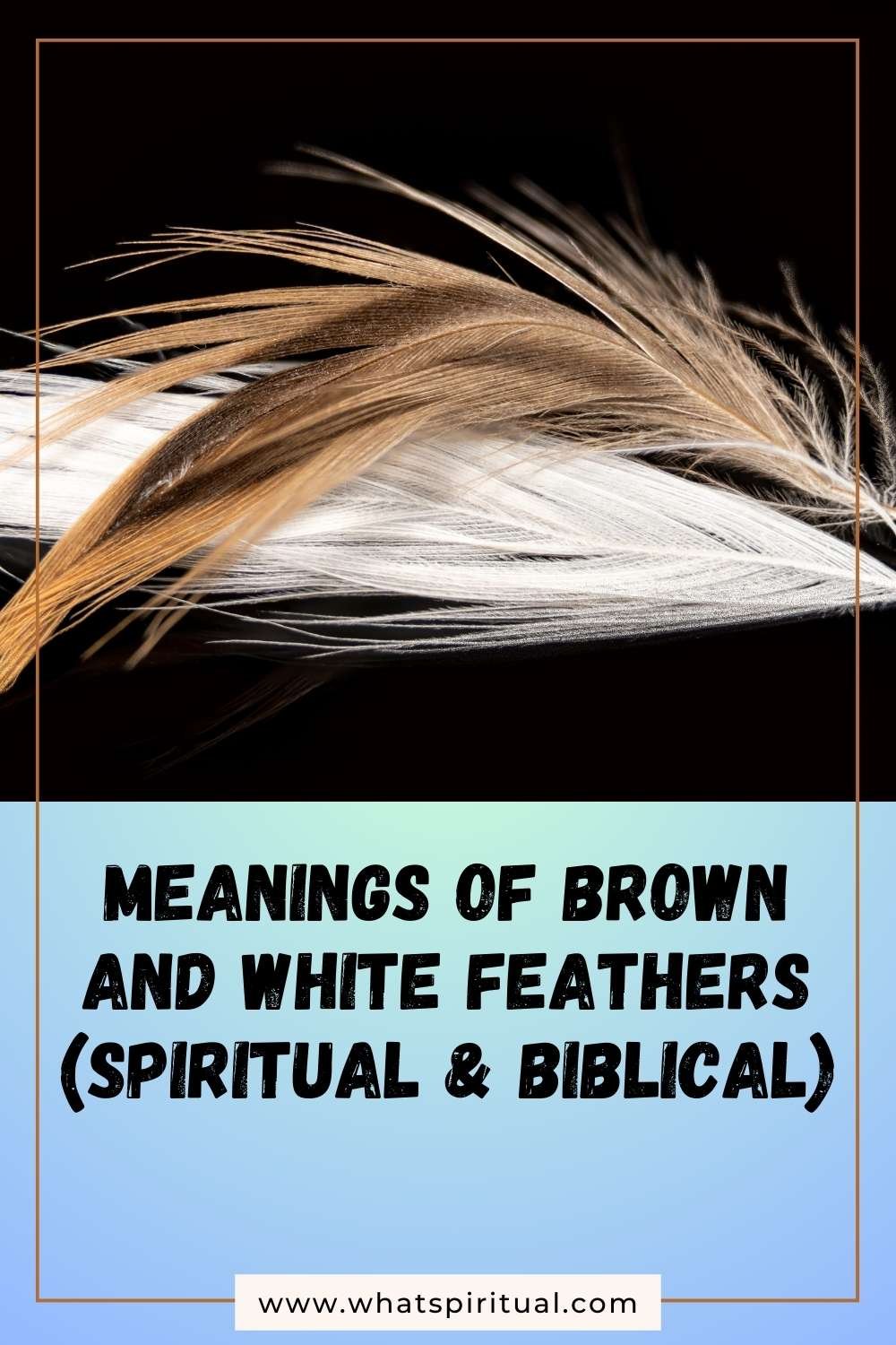 8 Meanings of Brown and White Feathers (Spiritual & Biblical) - What Spiritual