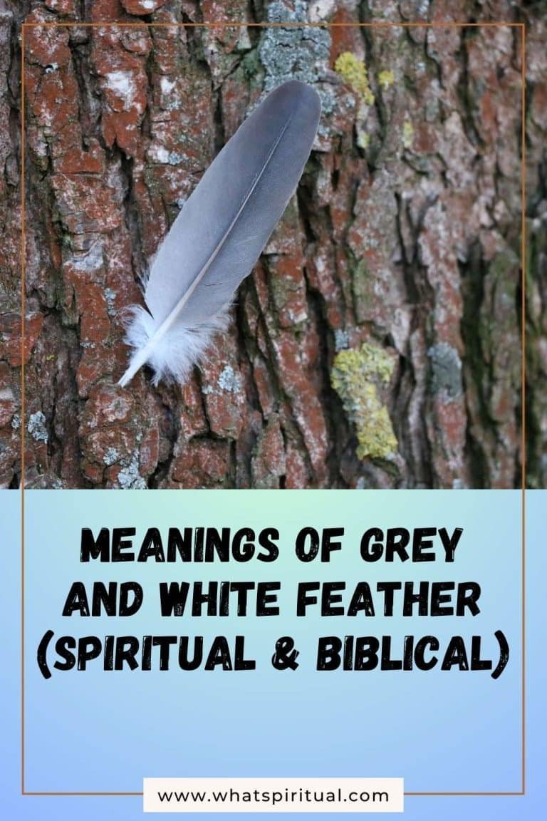 9 Meanings of Grey and White Mixed Feather (Spiritual & Biblical) - What Spiritual