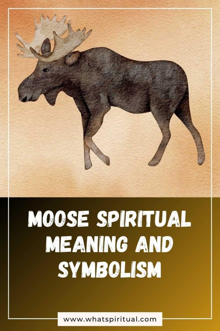 Moose Spiritual Meaning and Symbolism (+Totem & Spirit) - What Spiritual