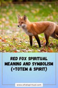 Red Fox Spiritual Meaning and Symbolism (+Totem & Spirit) - What Spiritual