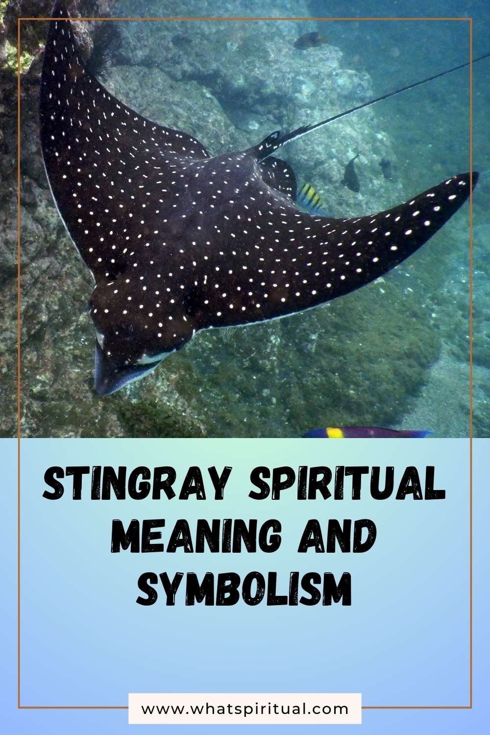 Stingray Spiritual Meaning and Symbolism (+Totem & Spirit) - What Spiritual
