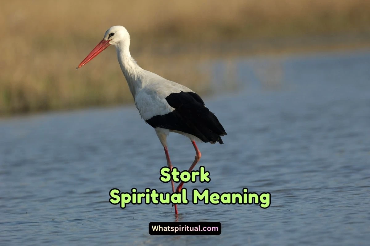 Dragon Spiritual Meaning & Symbolism: Sacred Power Explained | What ...